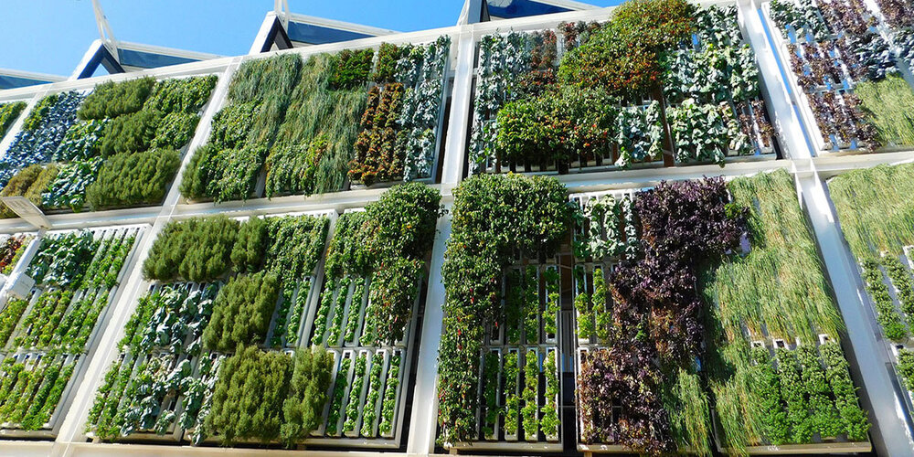 Hortitecture & High-Tech Growing Trends Explained