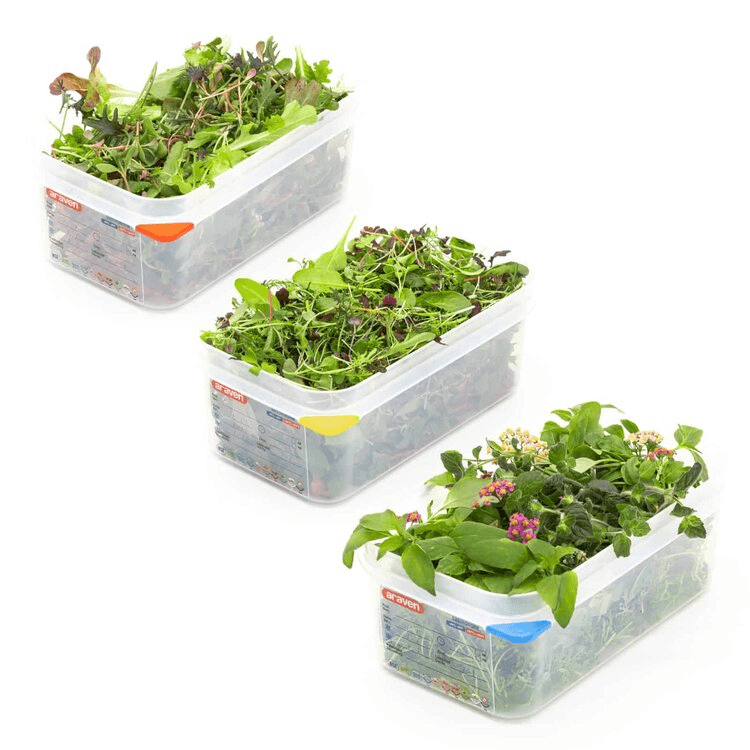 4 Eco Packaging Solutions to Cut Plastic Waste in CEA