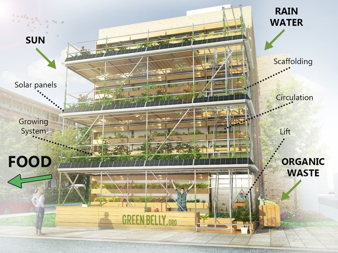 GreenBelly: Turning City Walls Into Vertical Farms — AGRITECTURE