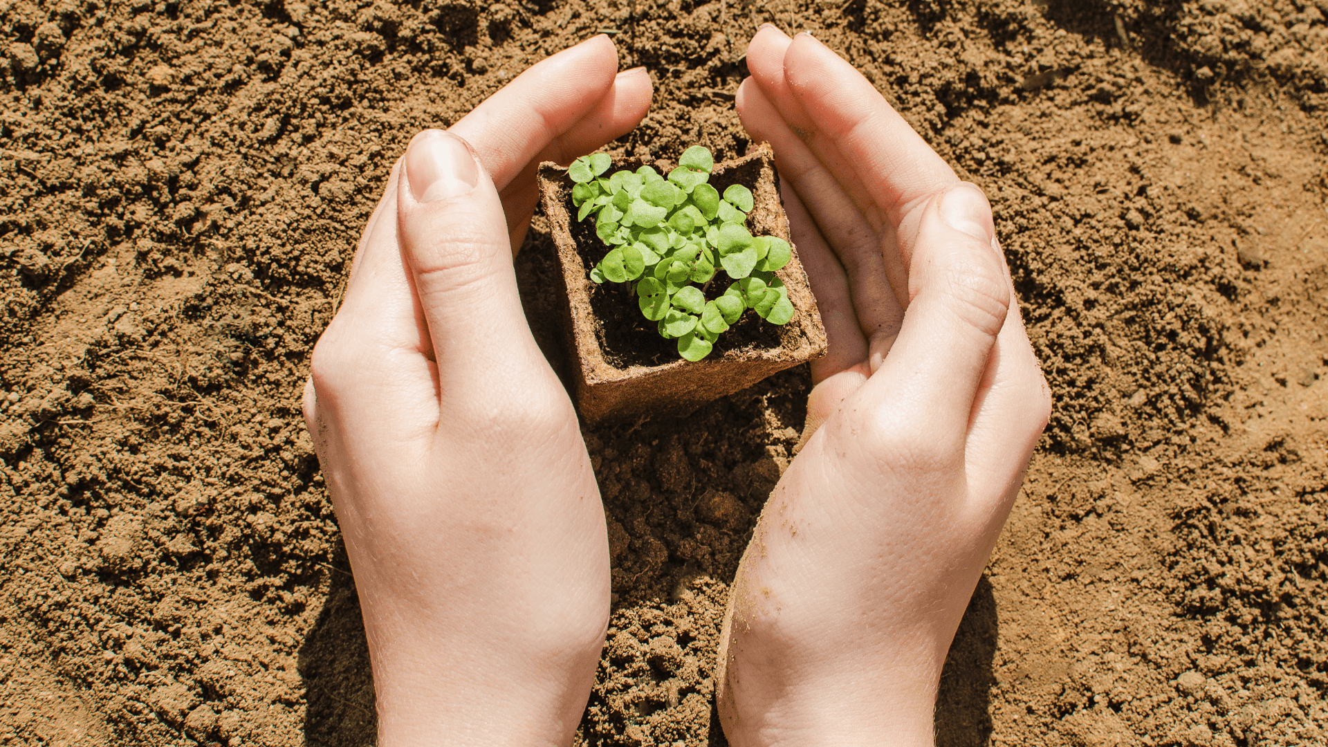 5 Critical Agriculture Topics to Incorporate Into Any Climate-Related ...