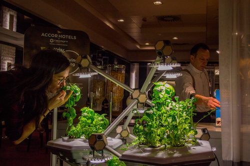 VERTICAL FARMING SHOULD BE ABOUT MUCH MORE THAN JUST YIELD — AGRITECTURE