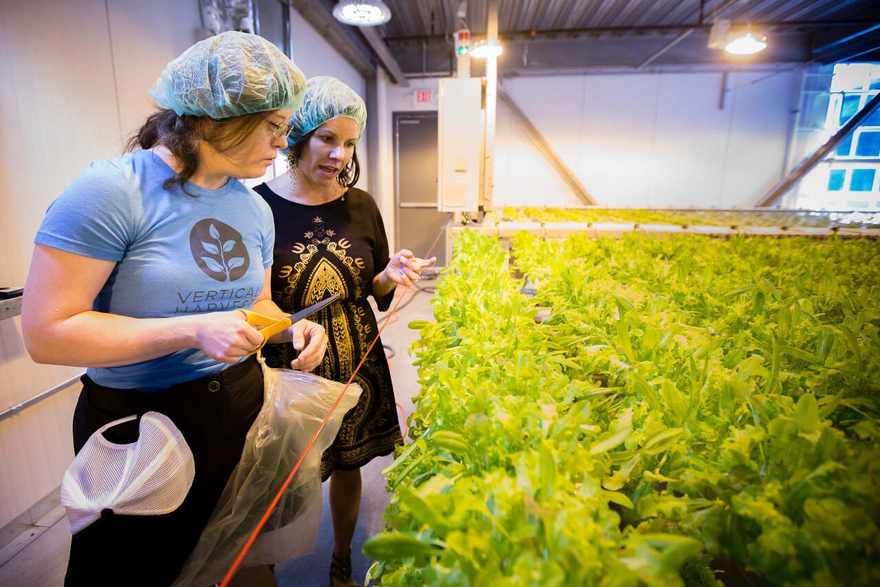 5 Trends That Will Impact The Food System's Resilience To Climate Change In 2022 — AGRITECTURE