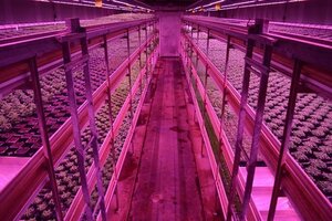 Vertical Farming: The Future Of Herb Cultivation — AGRITECTURE