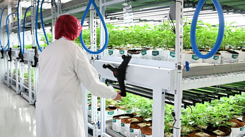 3 Ways To Maximize Yield In Indoor Farming — AGRITECTURE