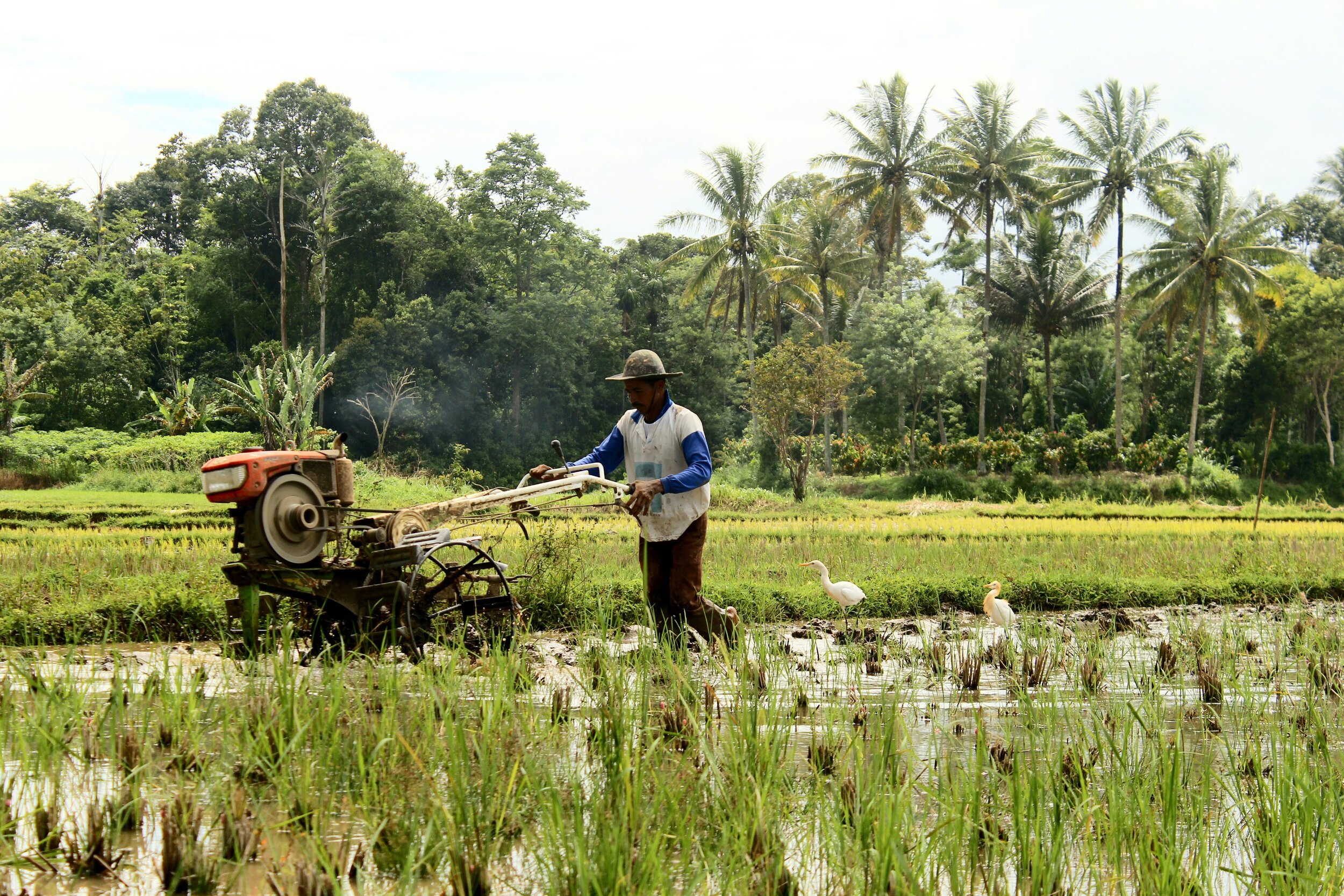 How FarmRaise Is Helping Farmers Break Financial Barriers — AGRITECTURE