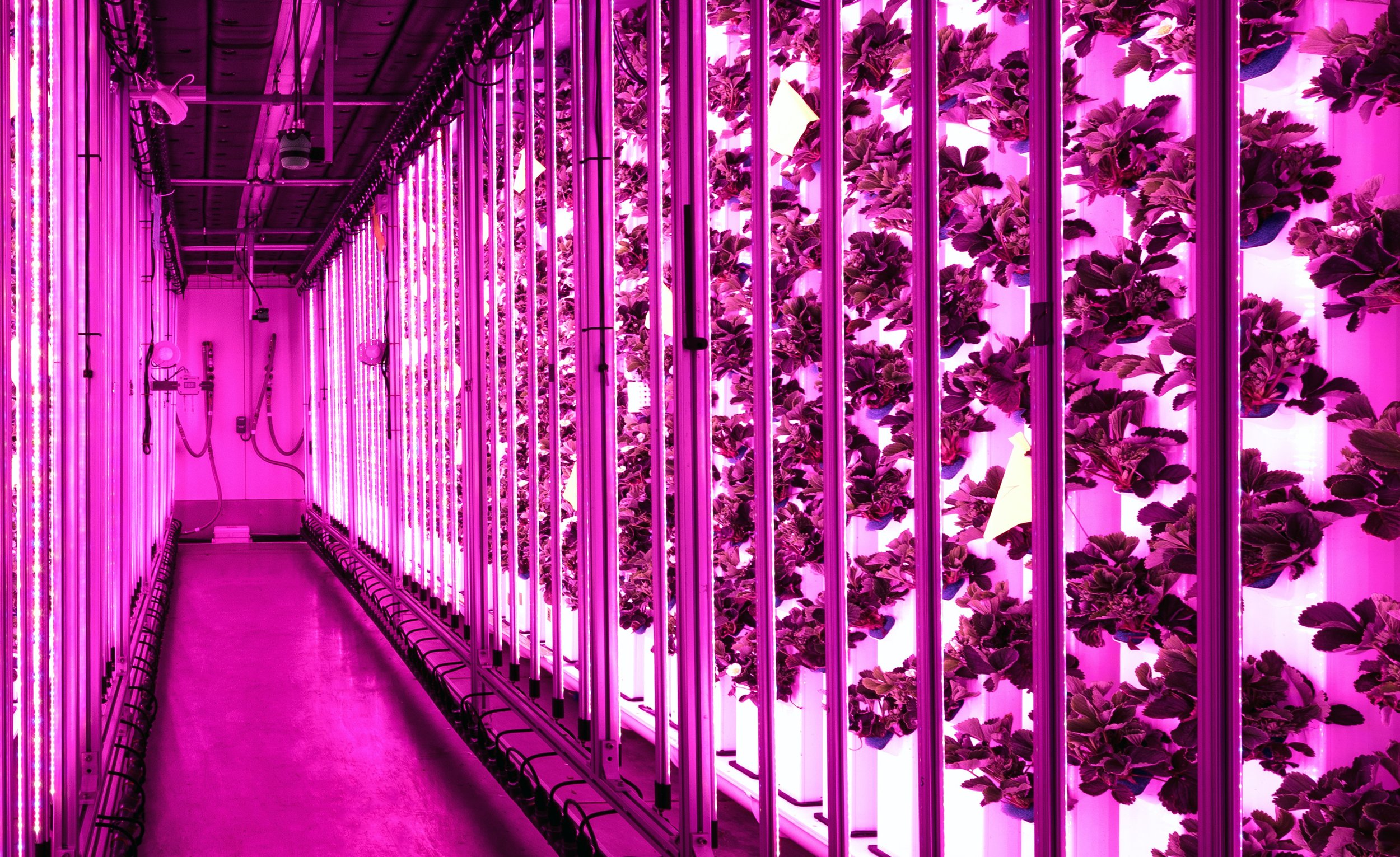Agricool Raises $28M for Container Farms | Agritecture