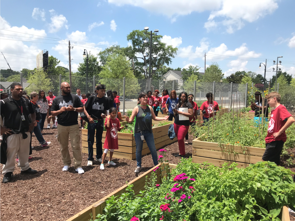 Explore Atlanta's Urban Agriculture Innovations