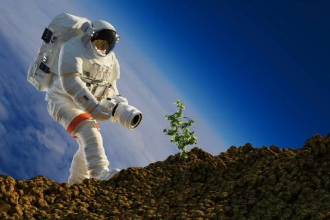 The First Seeds Have Sprouted On The Moon — AGRITECTURE