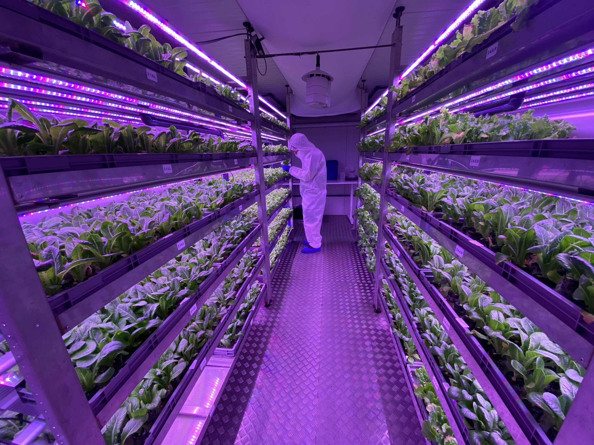 Advancing Vertical Farming with Urban Crop Solutions — AGRITECTURE