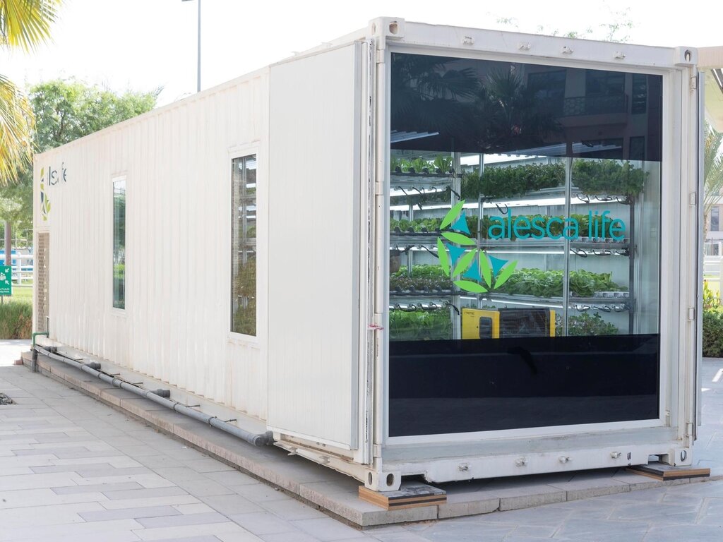 Meet The Container Farm Helping To Feed A Dubai Community — AGRITECTURE