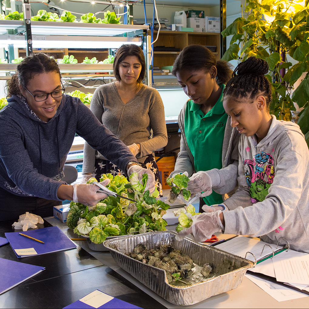 Students Grow Over 25,000 Pounds of Produce a Year in NYC Vertical Farm ...