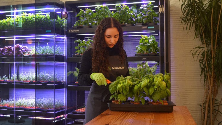 Farmshelf II: Simplifying On-Site Food Growth - AGRITECTURE