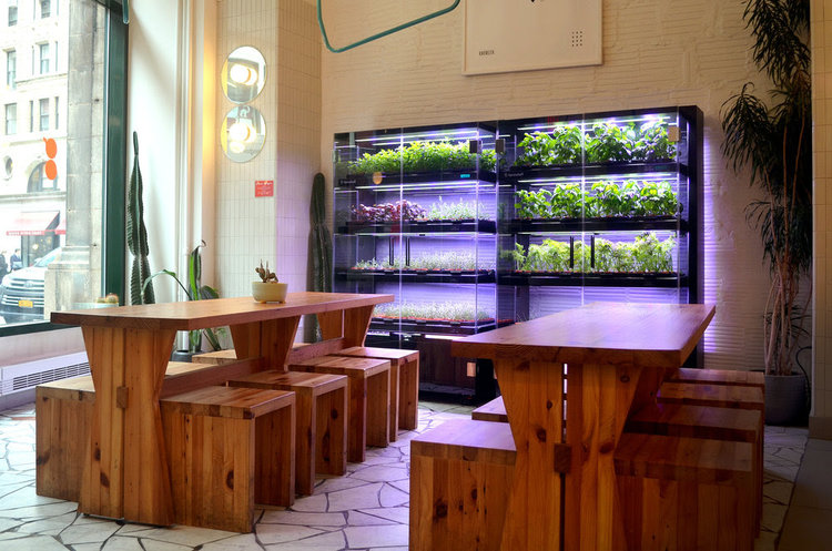 Farmshelf II: Simplifying On-Site Food Growth - AGRITECTURE