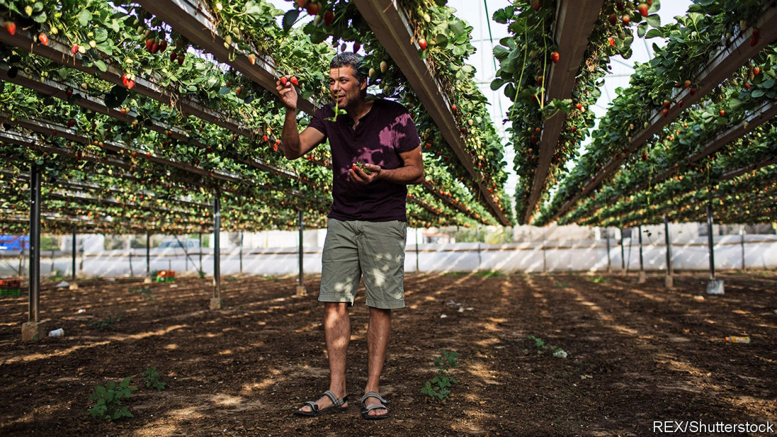 Why AgTech is Blooming in Israel — AGRITECTURE