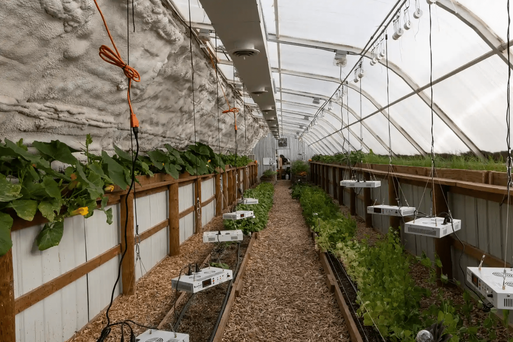 Indigenous Reservation Grows Food Underground Innovatively