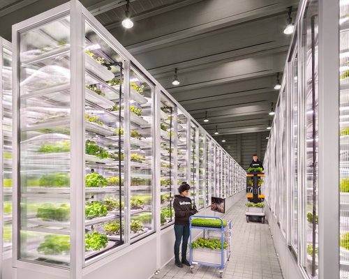 60 Indoor Farms Make 2021 FoodTech 500 Ranking