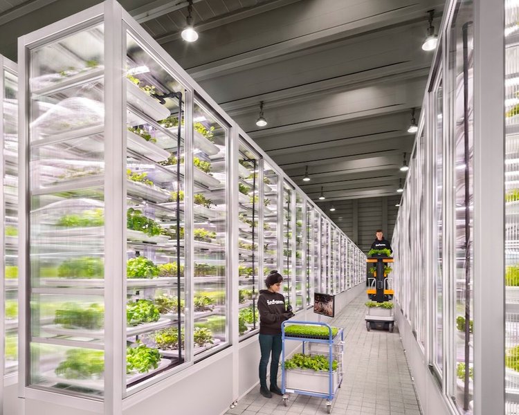 60 Indoor Farms Make 2021 FoodTech 500 Ranking