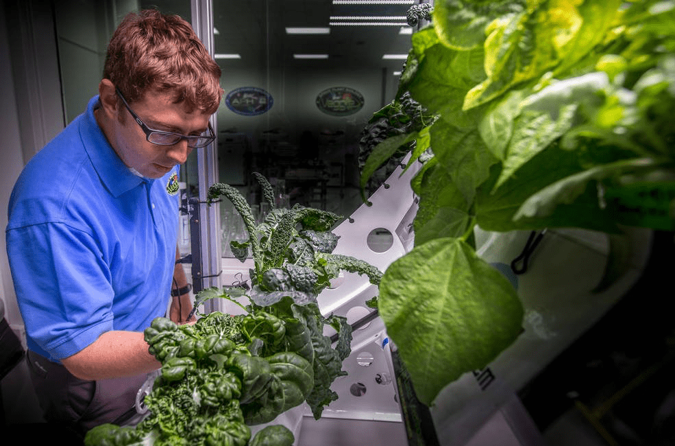 Farming In Space: The Future Of Indoor Farming Is Unfolding Aboard The ...