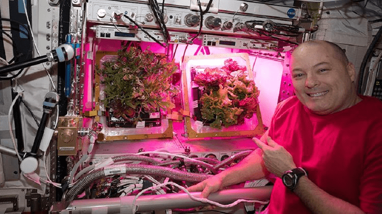 Space Farming: Indoor Ag Grows on the ISS