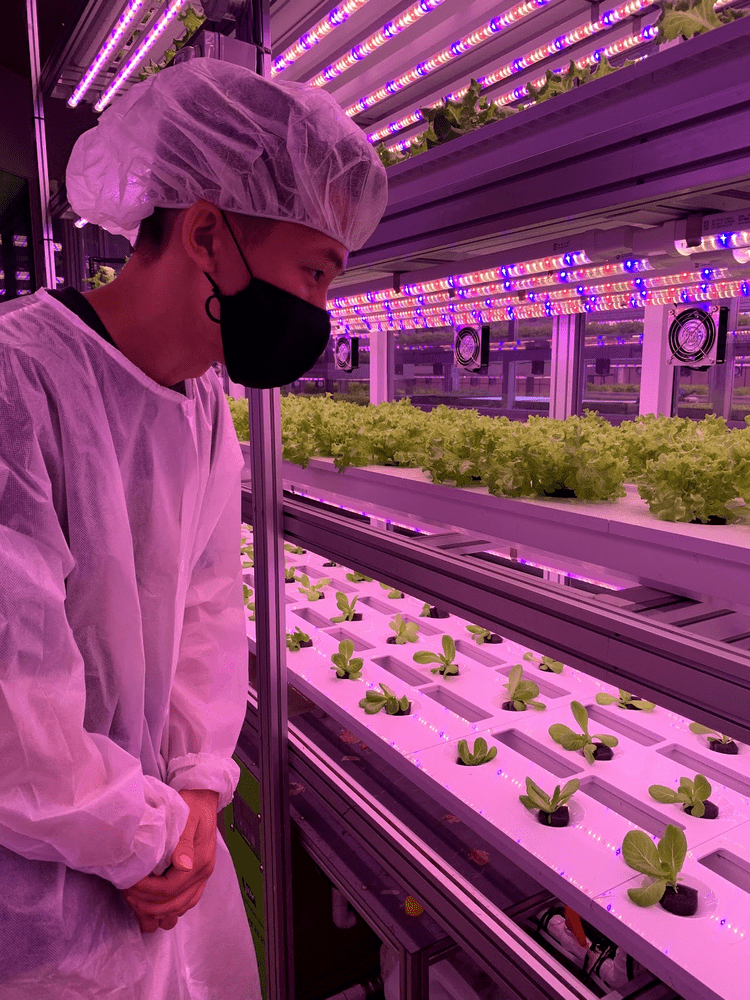 Urban Ag & Mushrooms with Agritecture’s Technologist