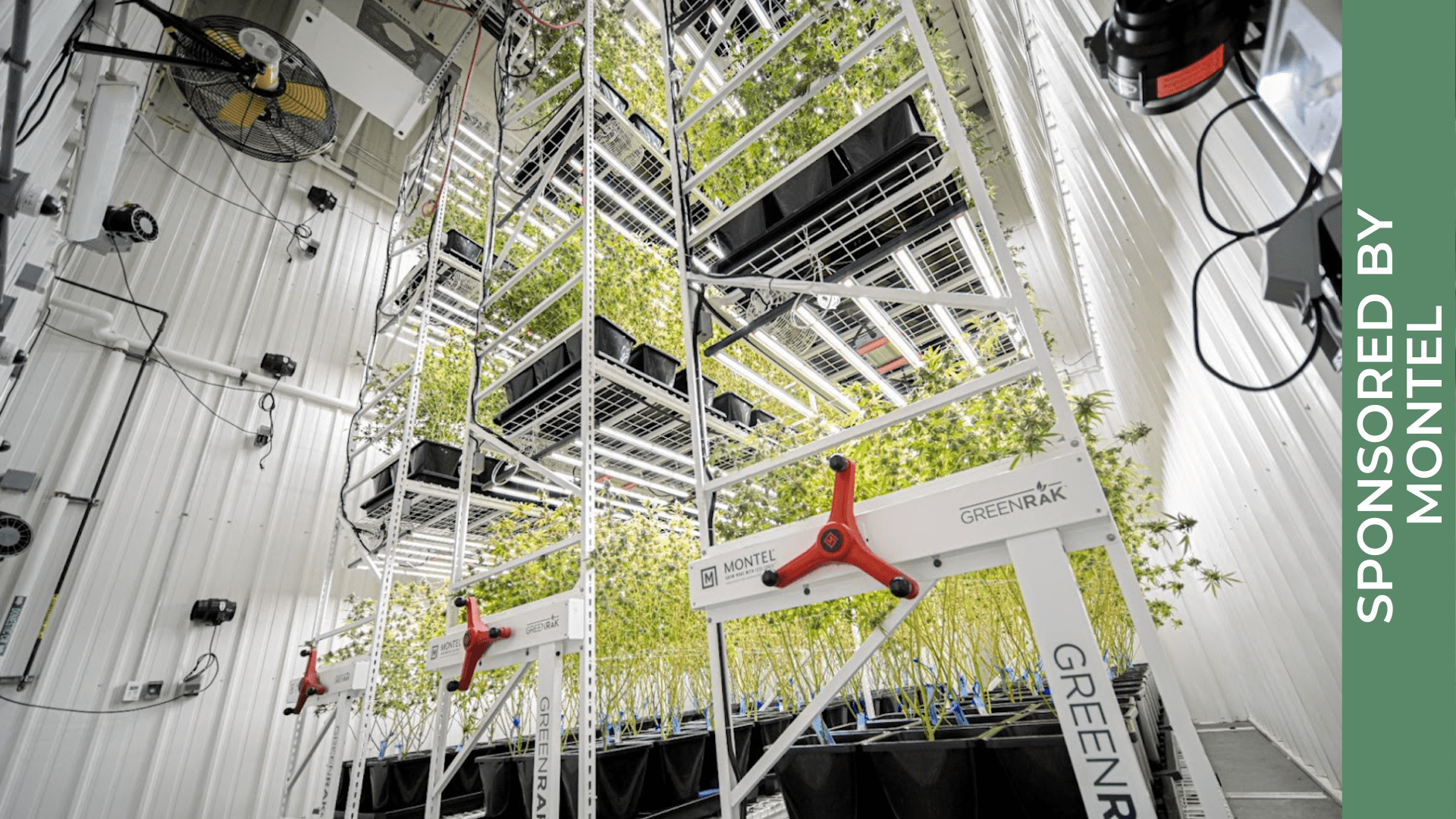 Here’s Why Architects and Farm Planners Love Working With Montel ...