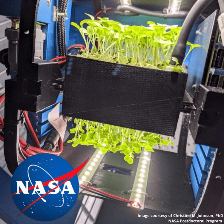 NASA Grows Microgreens in Space with VegBed Mats