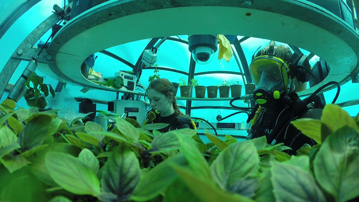 7 Of The World’s Most Innovative Farms — AGRITECTURE