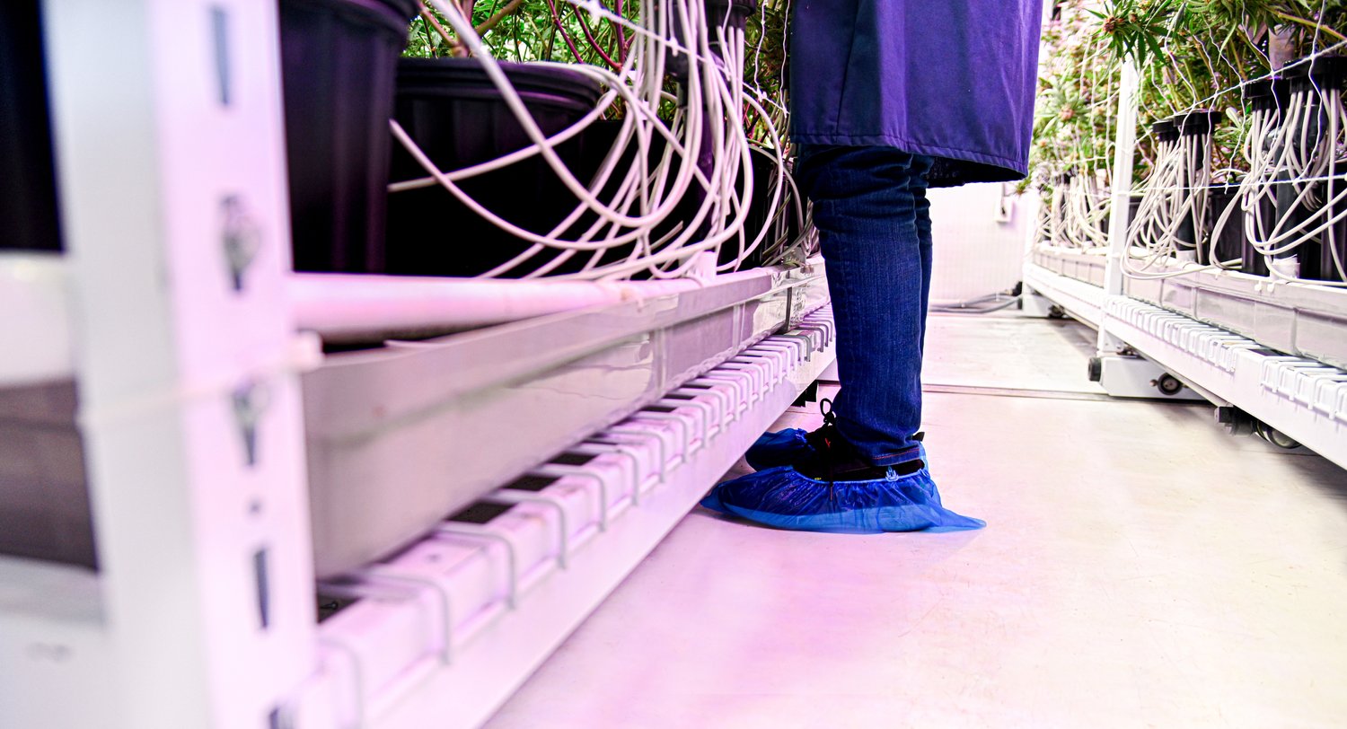 Specialized Farm Laborers are Instrumental to Run Vertical Farms ...