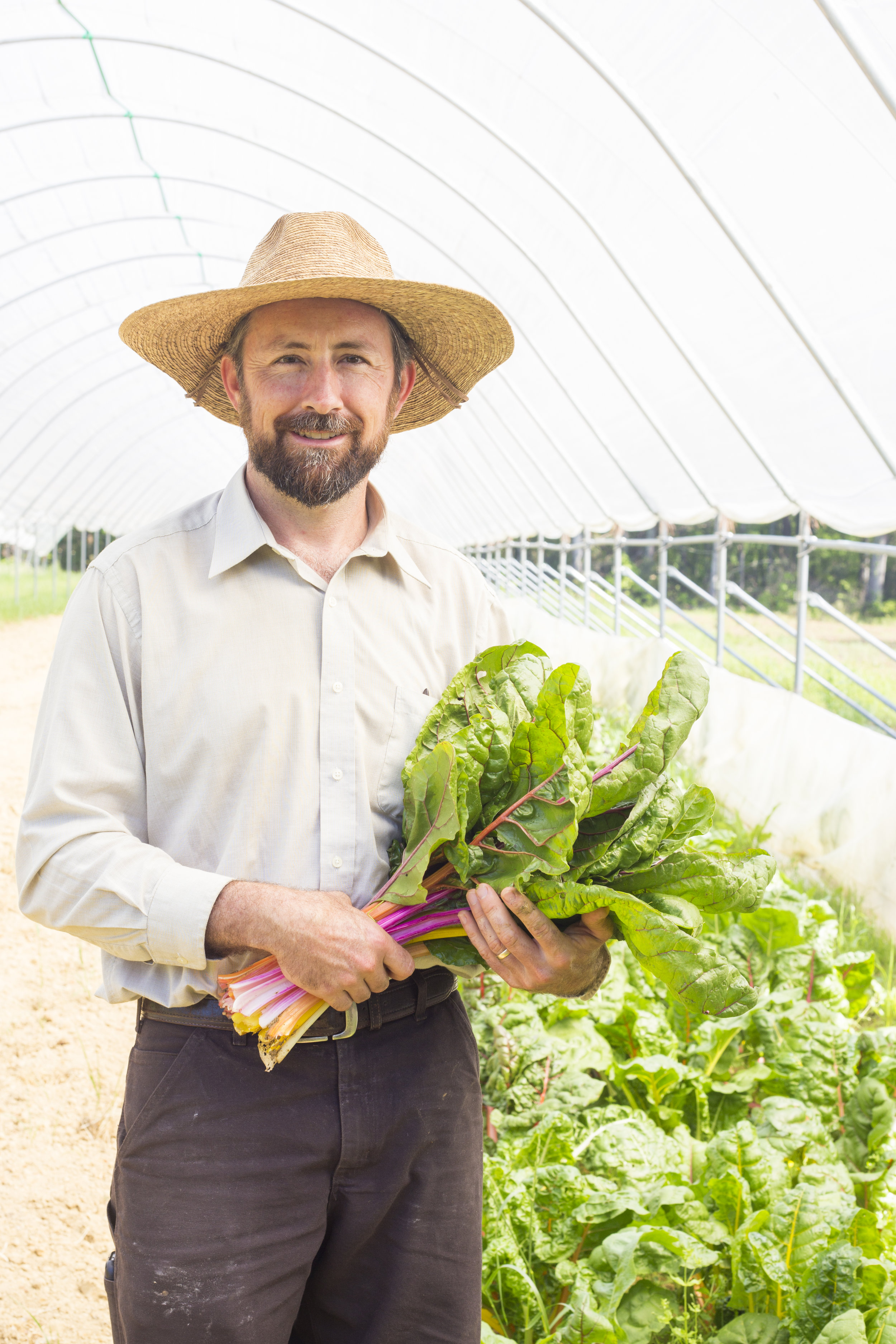 Atlanta meal kit service puts Southern farmers & food first — AGRITECTURE