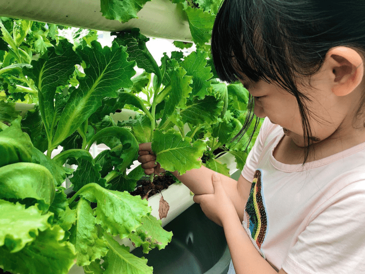 5 Critical Agriculture Topics to Incorporate Into Any Climate-Related Event — AGRITECTURE