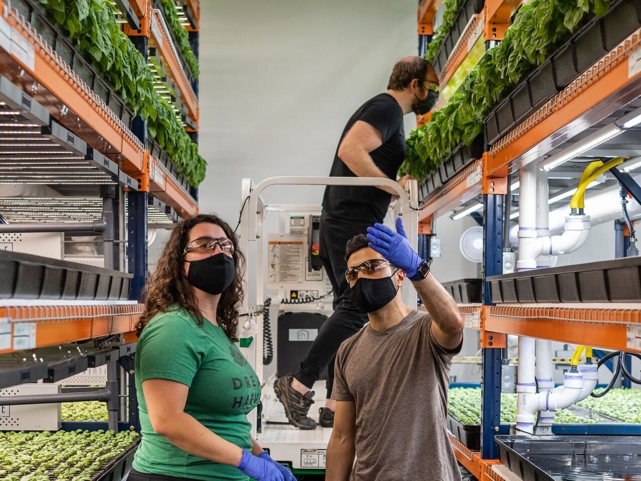 Origin Story Of The Dream Harvest Farming Co. — AGRITECTURE