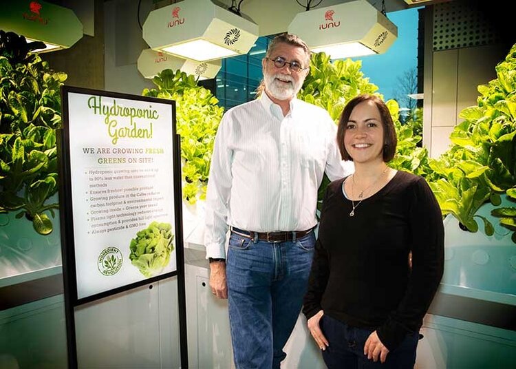 Microsoft’s Vertical Farming Revolution at Work