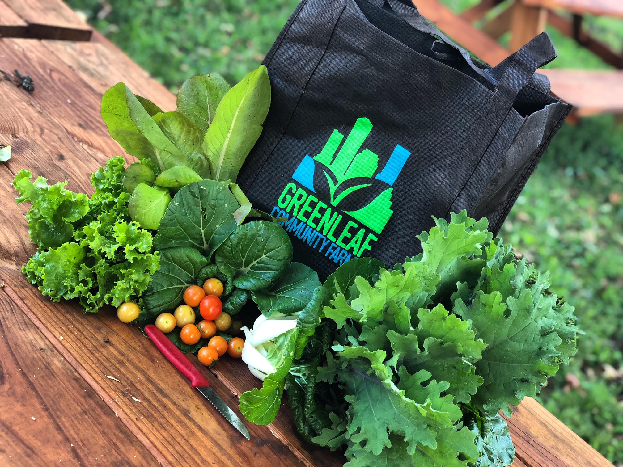 How Greenleaf Community Farms Engages Residents Through Urban ...
