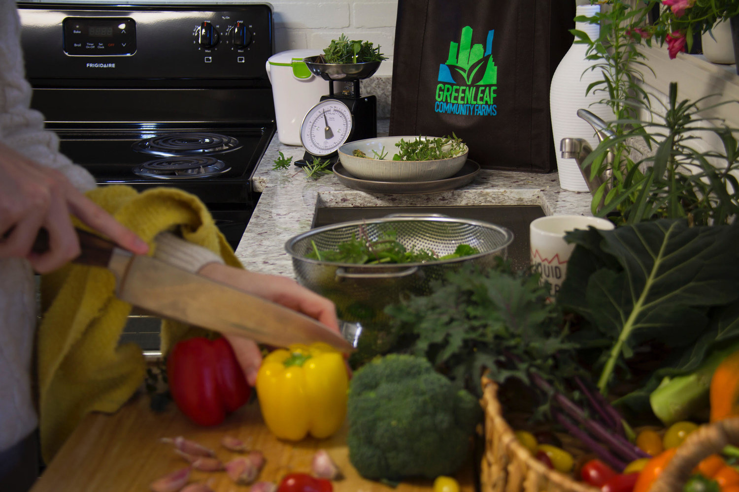 Urban Farming: Engaging Communities Together - AGRITECTURE