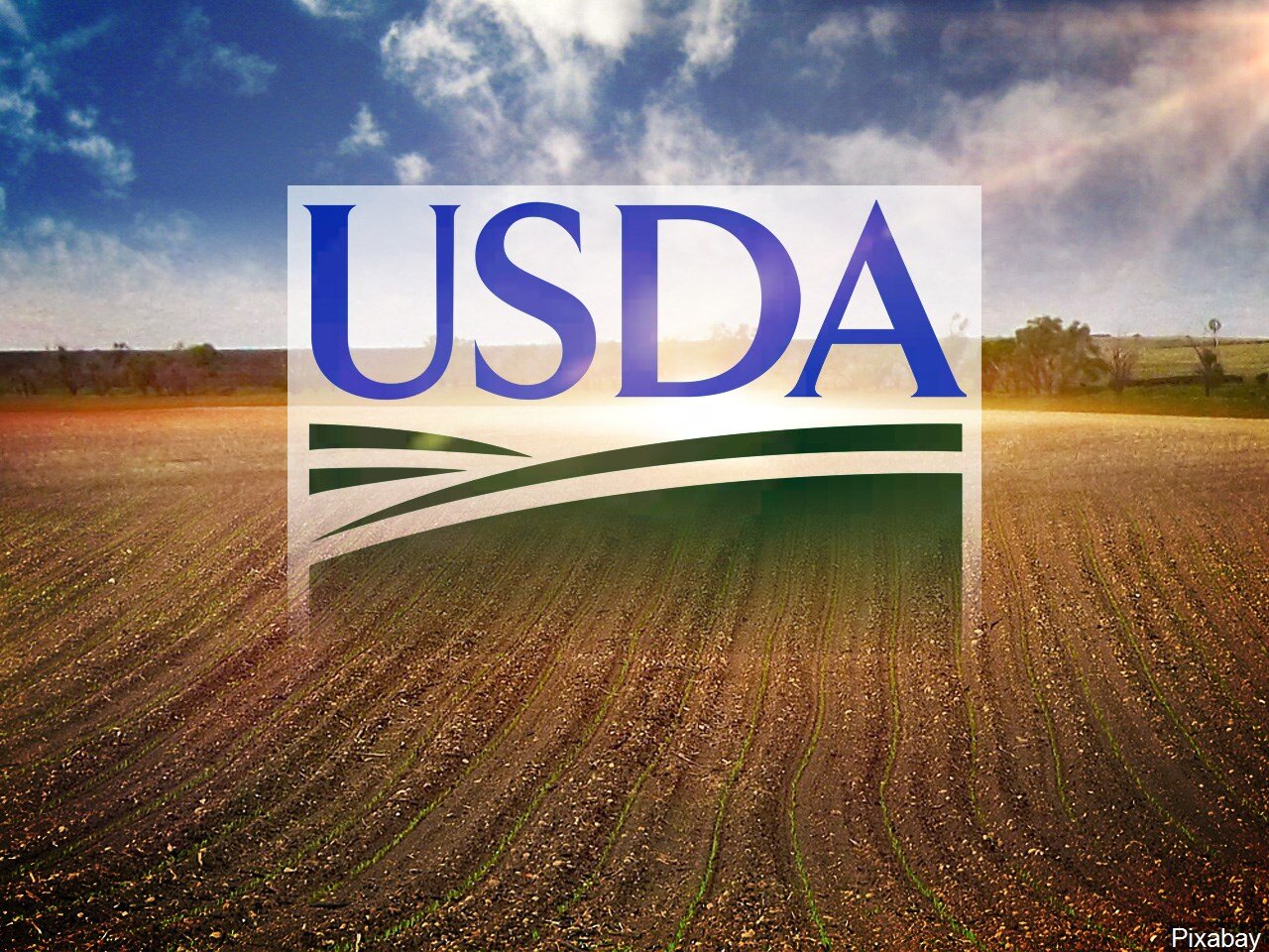 Empowering Urban Farmers: USDA's New Grant Initiative