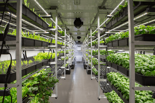 Tech Firm Powers Top Innovative Indoor Farms