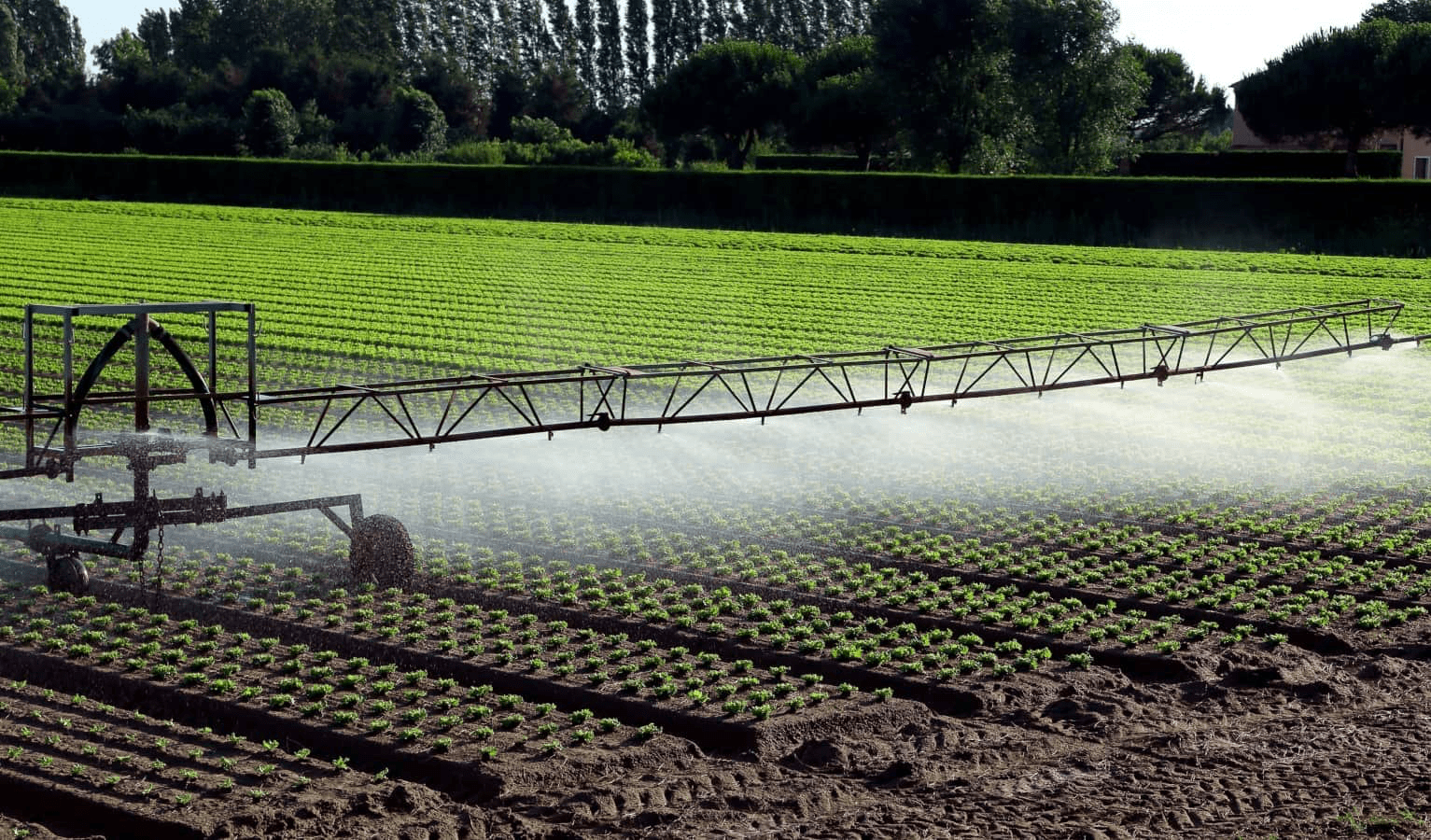 Wasting Food Is Wasting Water: Unveiling Food’s Water Footprint ...