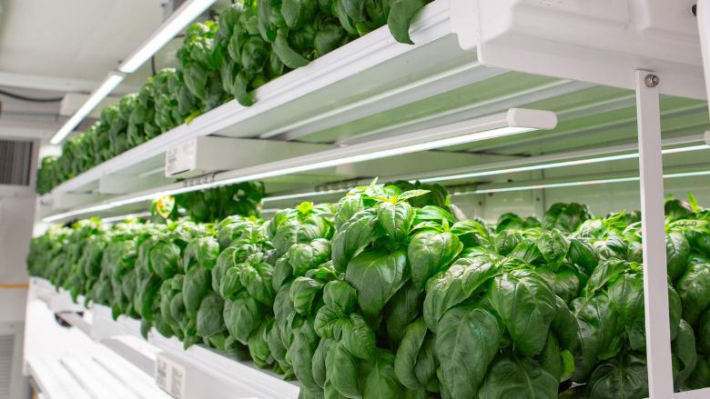 Elevating the Impact and Value of Modular Farming
