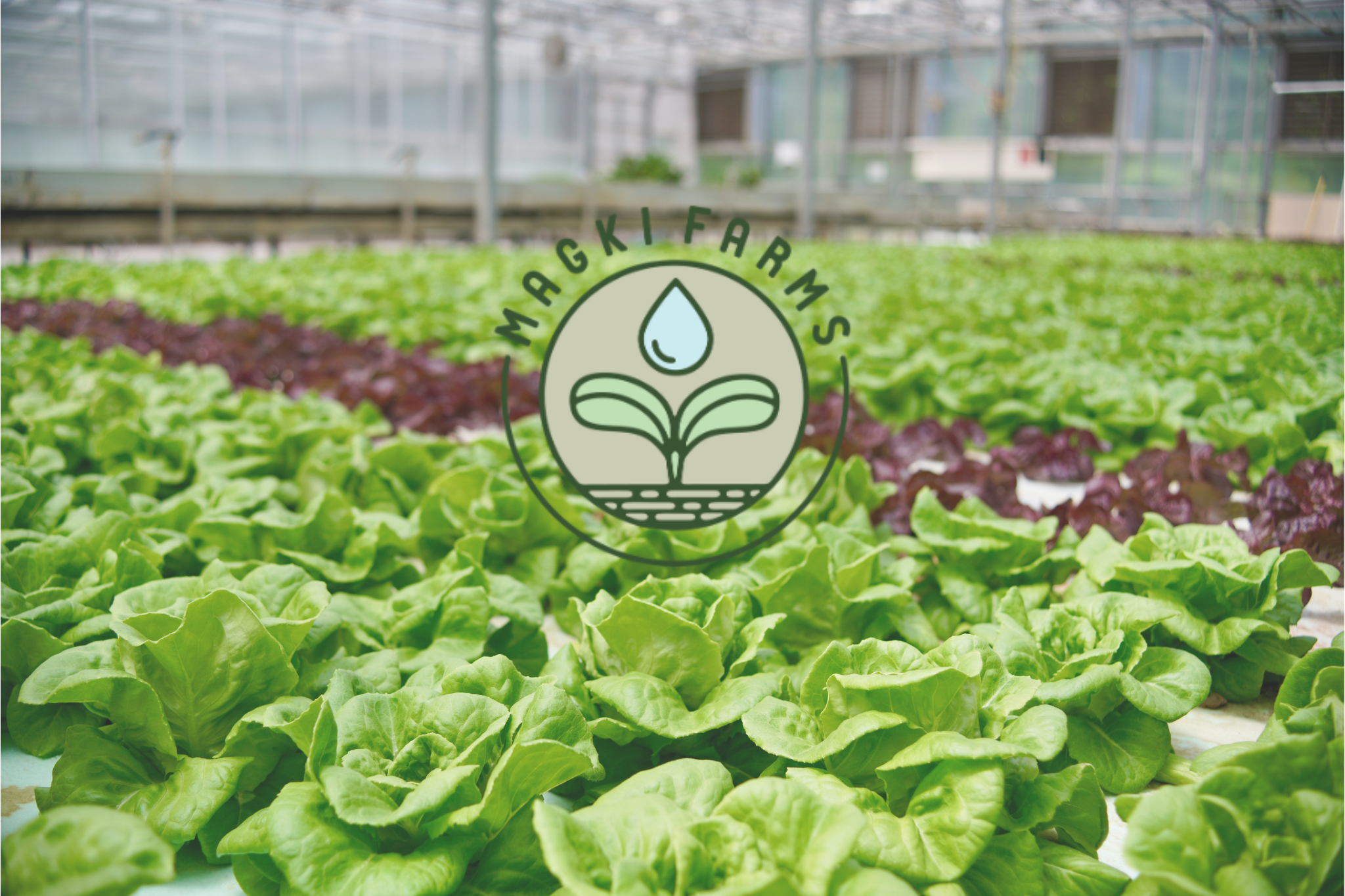 The Visionary Journey of Magki Farms with Agritecture — AGRITECTURE